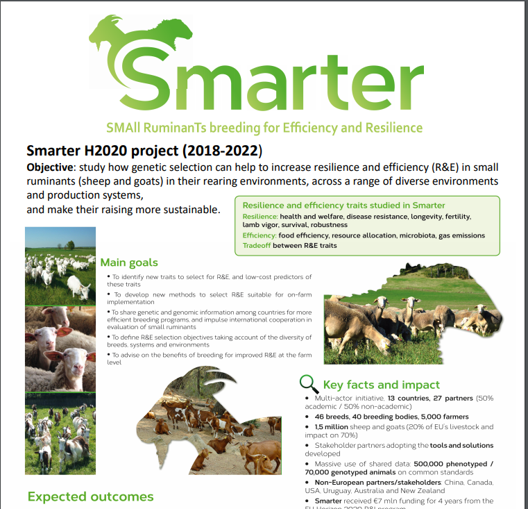 Smarter Project